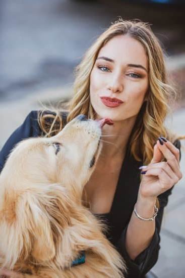 How Long Does Therapy Dog Training Take Every Day Interests