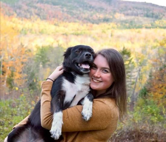 How Much Is Victoria Stilwell Dog Training Course Every Day Interests
